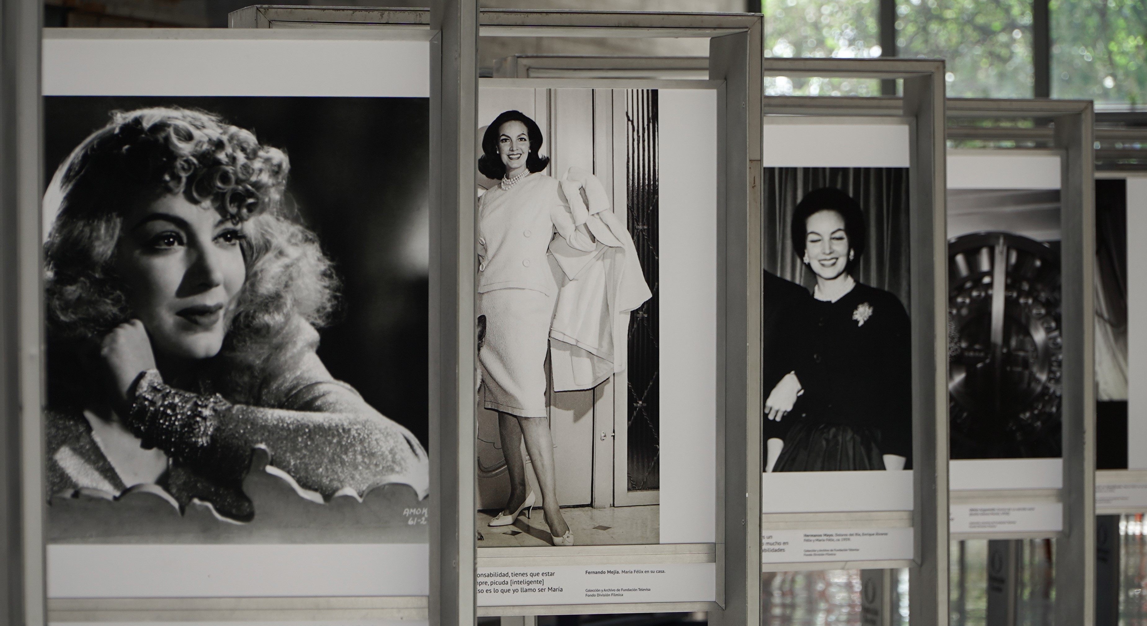 LA CINETECA NACIONAL MÉXICO RINDE HOMENAJE A MARÍA FÉLIX – Cinexplicacion