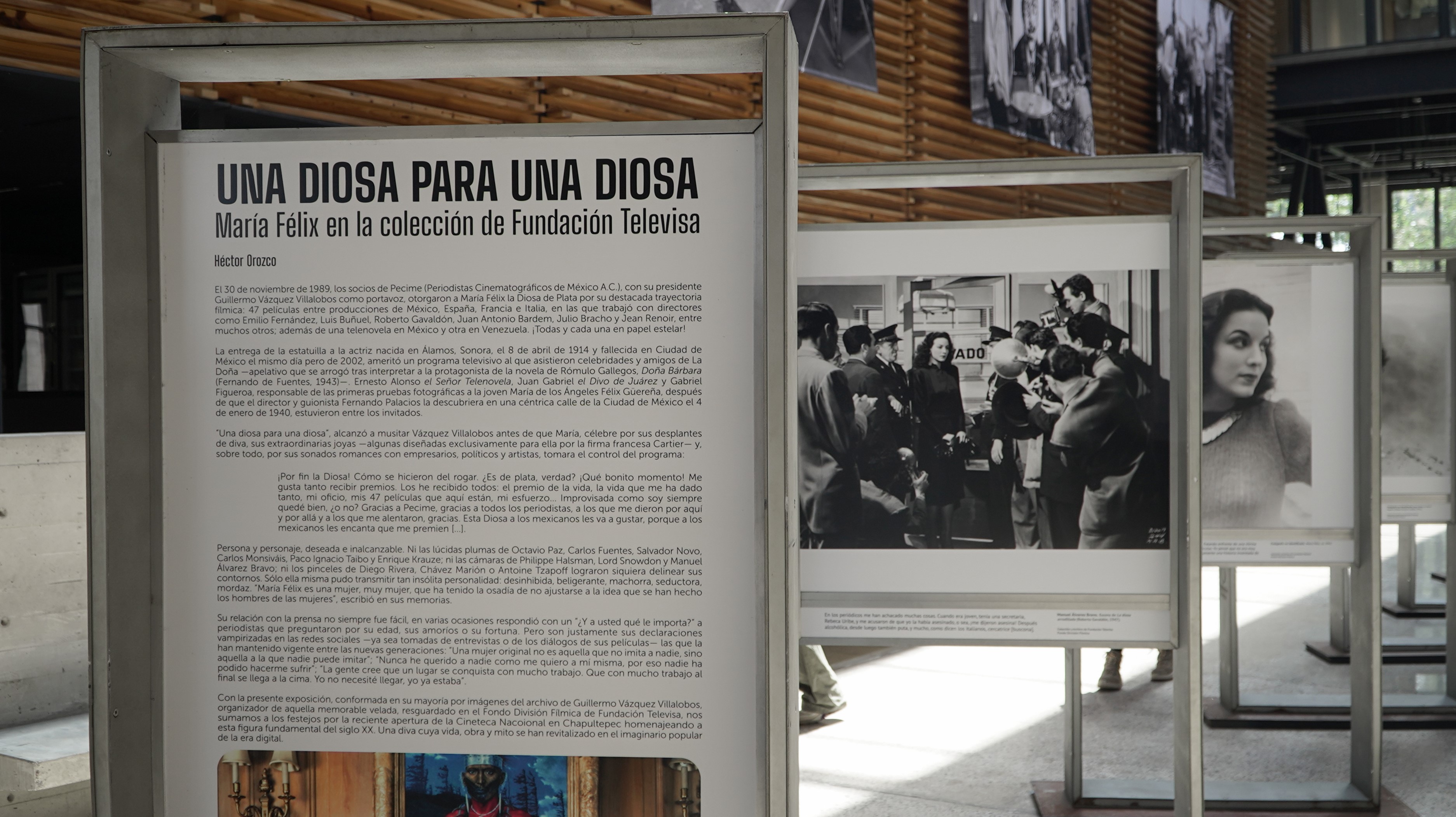 LA CINETECA NACIONAL MÉXICO RINDE HOMENAJE A MARÍA FÉLIX – Cinexplicacion